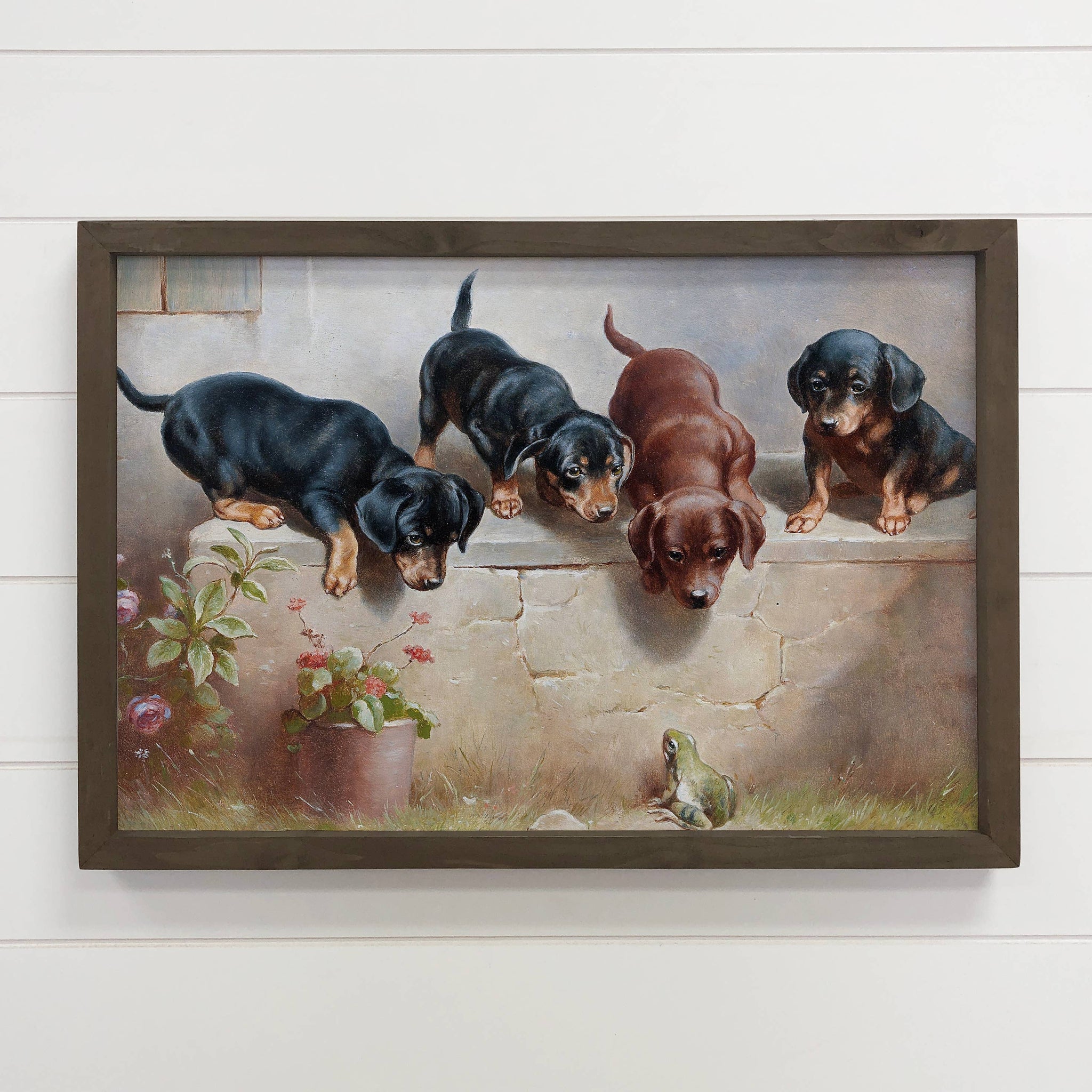Curious Dachshund Puppies - Puppy Canvas Art - Wood Framed
