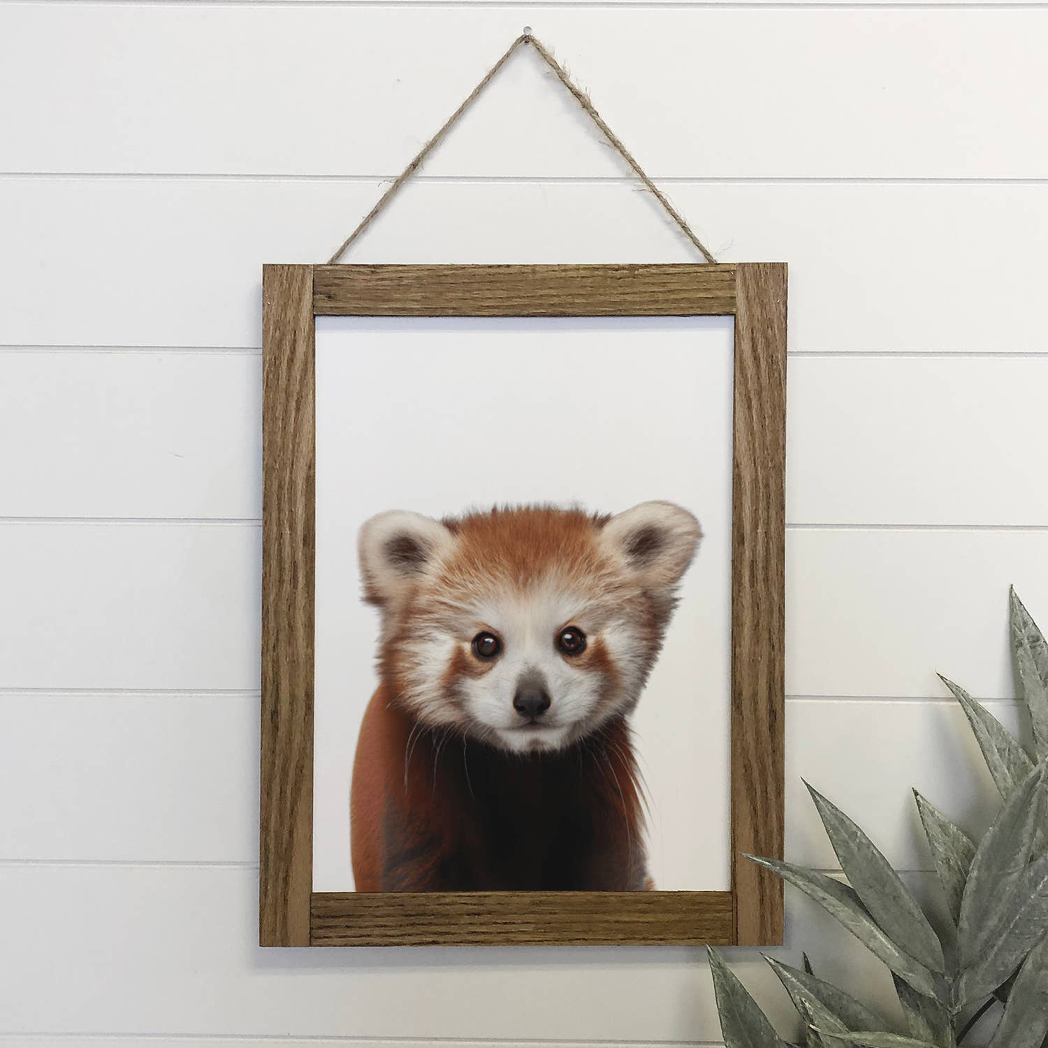Cute Baby Red Panda Wood Sign Animal Wall Art