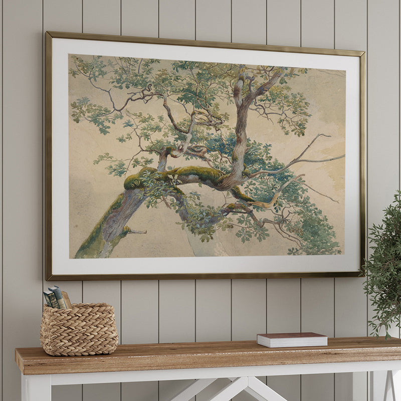 Tree Branch Art Framed